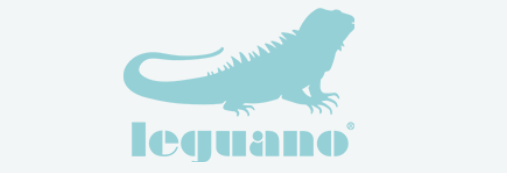 gravitycoach: Stärker, beweglicher & jünger.